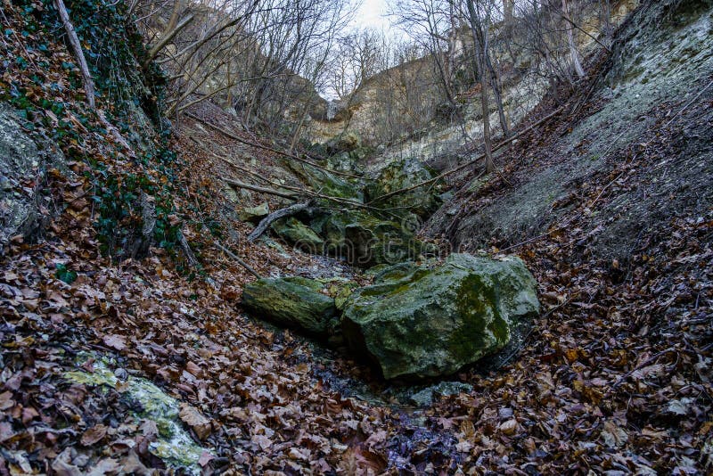 Rocky Wilderness. Background or Backdrop with Selective Focus and Copy ...
