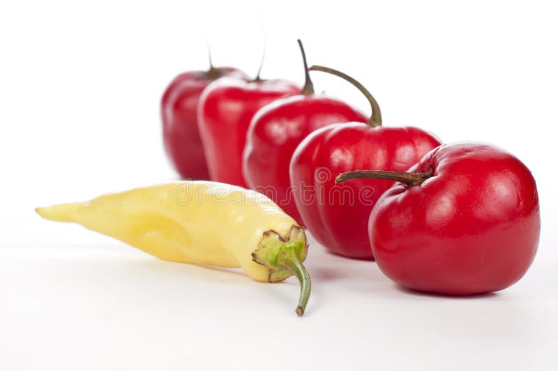 Rocoto stock image. Image of aphrodisiac, antioxidant - 38084529