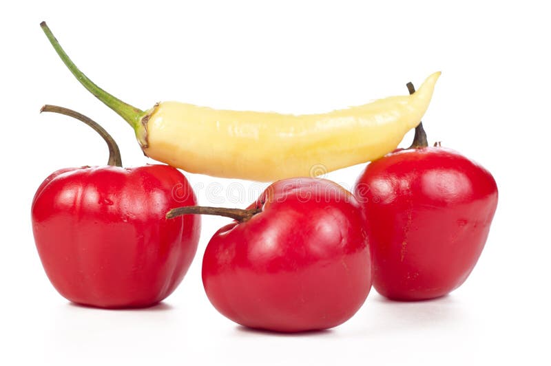 Rocoto stock image. Image of antioxidant, latin, white - 38084543