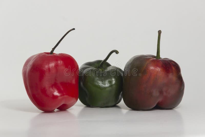 Rocoto - pimiento picante imagen de archivo. Imagen de culturas - 117835619