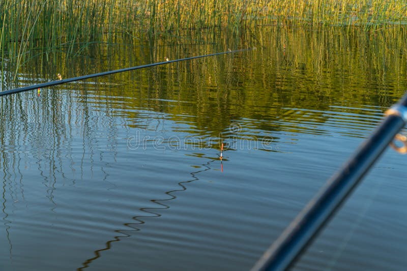 Rod and Float. Fishing on the Lake Stock Photo - Image of recreation ...