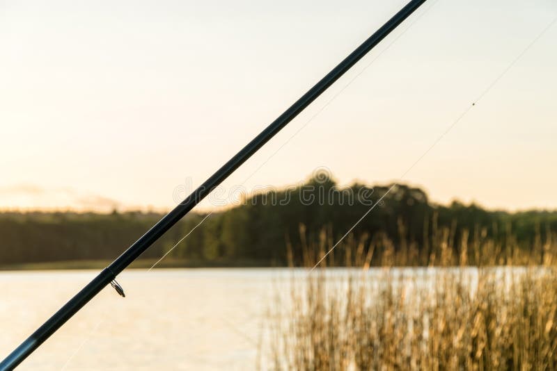 Rod and Line. Fishing on the Lake Stock Image - Image of scenic ...