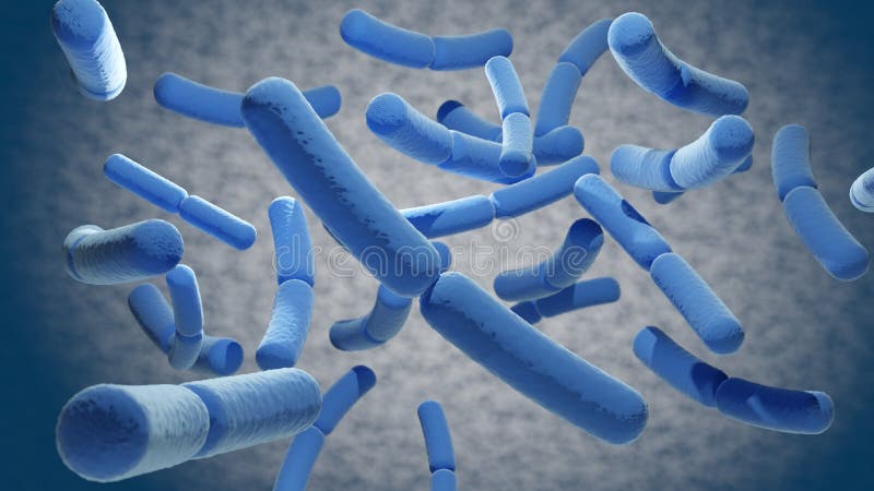 Rod-shaped Bacillus Bacteria Floating in Medium 3d Illustration Stock ...