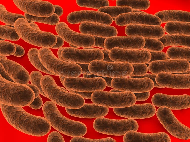 Rod Shaped Bacteria Stock Illustrations – 2,158 Rod Shaped Bacteria ...