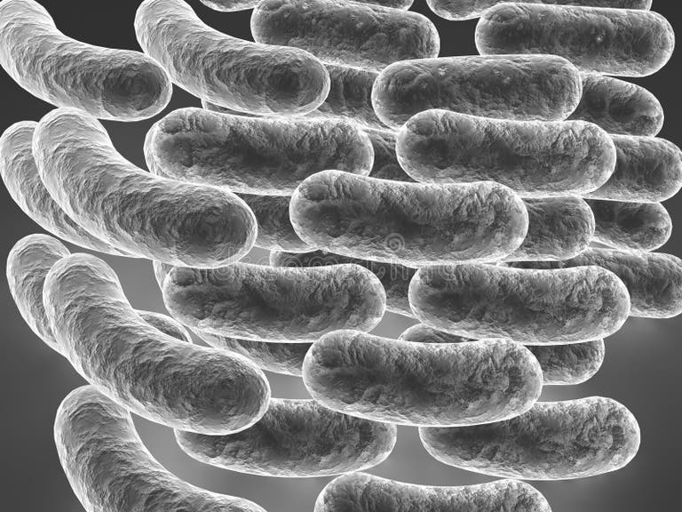 Gray Bacteria Stock Illustrations – 1,938 Gray Bacteria Stock ...