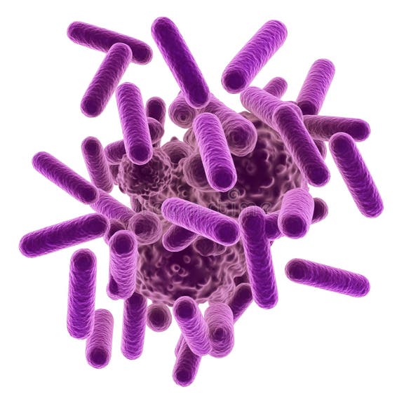 Rod-Shaped Bacteria Attacking a Cell. Microscopic Pathogens ...