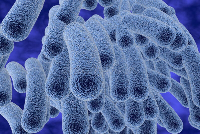 Rod shaped bacteria stock illustration. Illustration of cells - 76995746