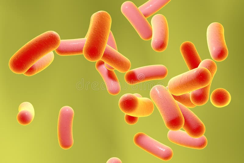 Rod shaped bacteria stock illustration. Illustration of cells - 76995233