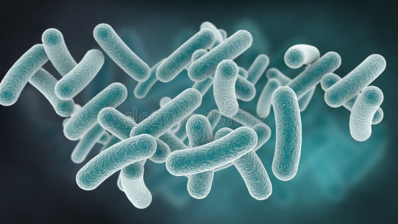 Rod Shaped Bacteria. 3D Rendering Stock Illustration - Illustration of ...