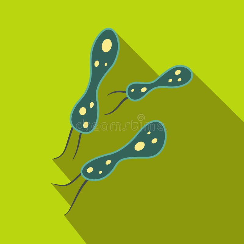 Green Rod Shaped Bacteria Stock Illustrations – 176 Green Rod Shaped ...