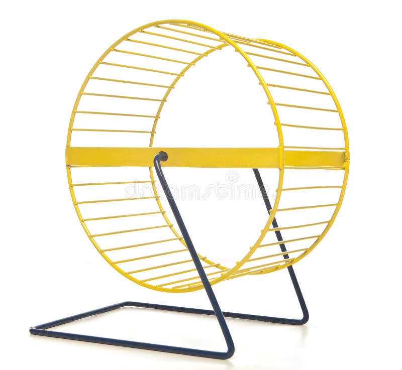 Roda De Exercício Para Roedores Isolada Sobre Fundo Branco Imagem de ...