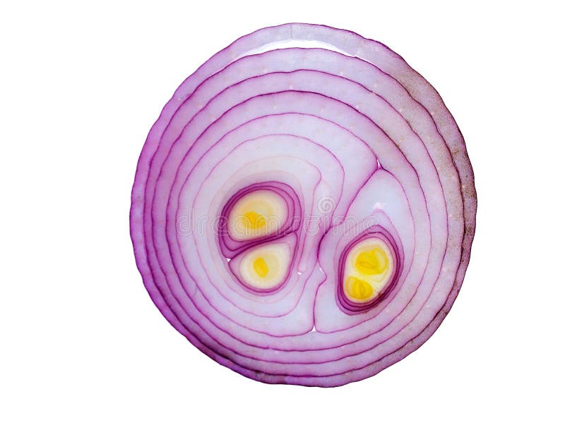 Rodaja De Cebolla Roja Sobre Fondo Blanco Stock de ilustración ...