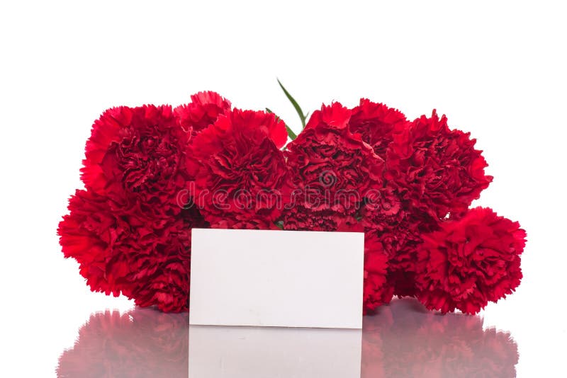 Rode anjer stock foto. Image of cadeau, bloemen, kaart - 31151346