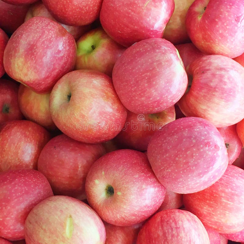 Rode Appel Fuji stock afbeelding. Image of rood, fuji - 85615489