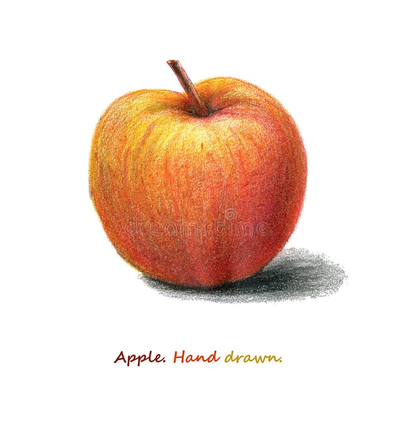 Rode Appel. Getrokken Hand. Vectoreps8 Vector Illustratie ...