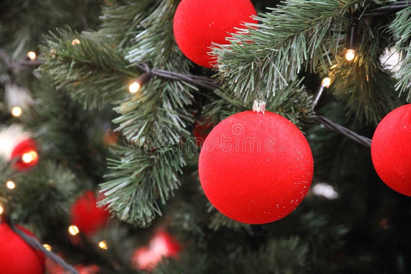Rode Ballen Op Een Groene Kerstboom Stock Afbeelding - Image of seizoen ...