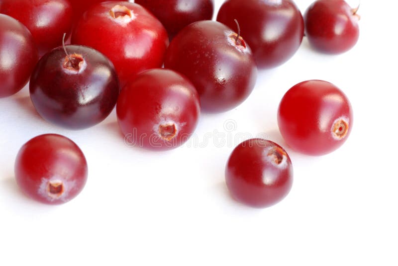 Rode bessen stock foto. Image of versheid, geïsoleerd - 3476074