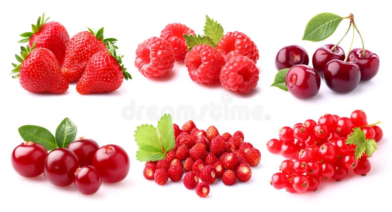 Rode bessen stock afbeelding. Image of rood, gezond, zoet - 45309653