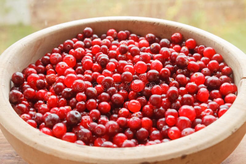 Rode Bessen En Een Houten Pot Stock Foto - Image of blad, bloemen ...
