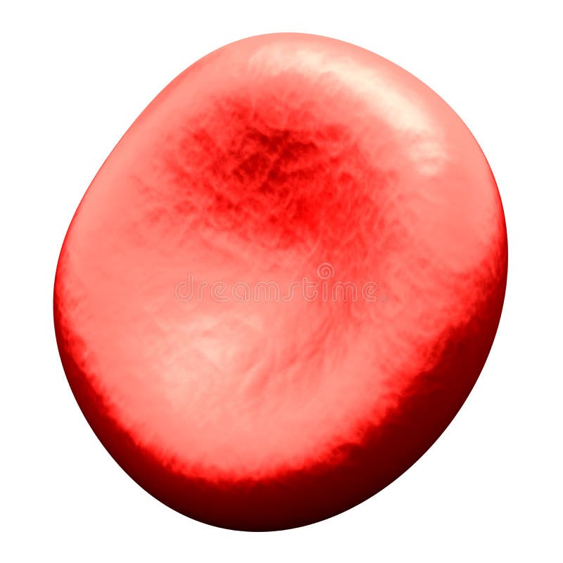 Rode bloedcel stock illustratie. Illustration of rood - 44305345