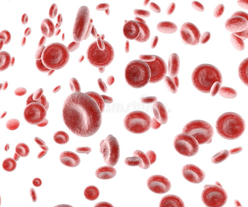 Rode Bloedcel, Erytrocietcel, Rode Bloedcelstroom Stock Illustratie ...