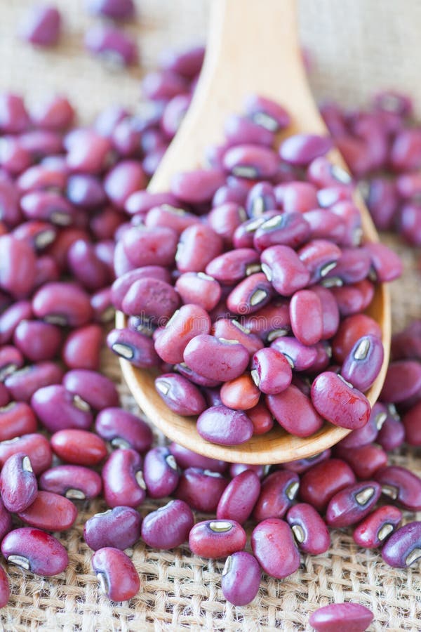 Rode Boon stock afbeelding. Image of vegetariër, voeding - 55030515