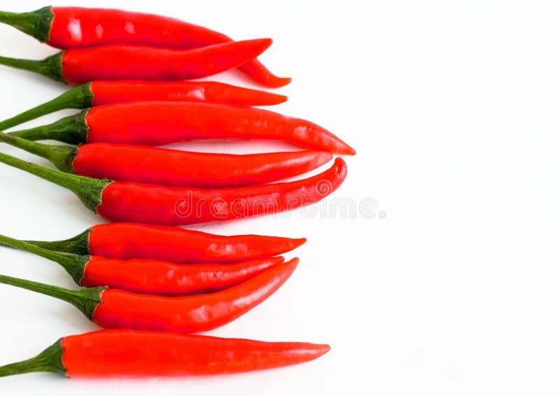Rode brandende peper stock afbeelding. Image of heet - 13083695