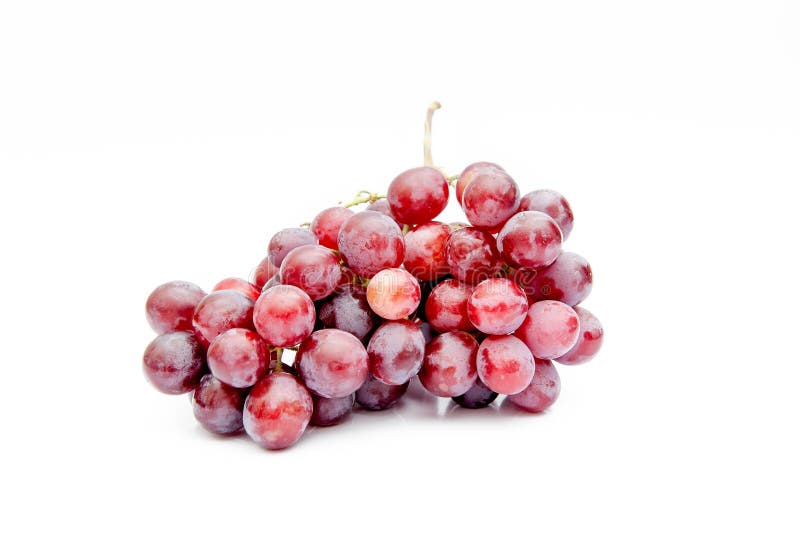 Rode druif stock foto. Image of daling, vrucht, landbouw - 103912380
