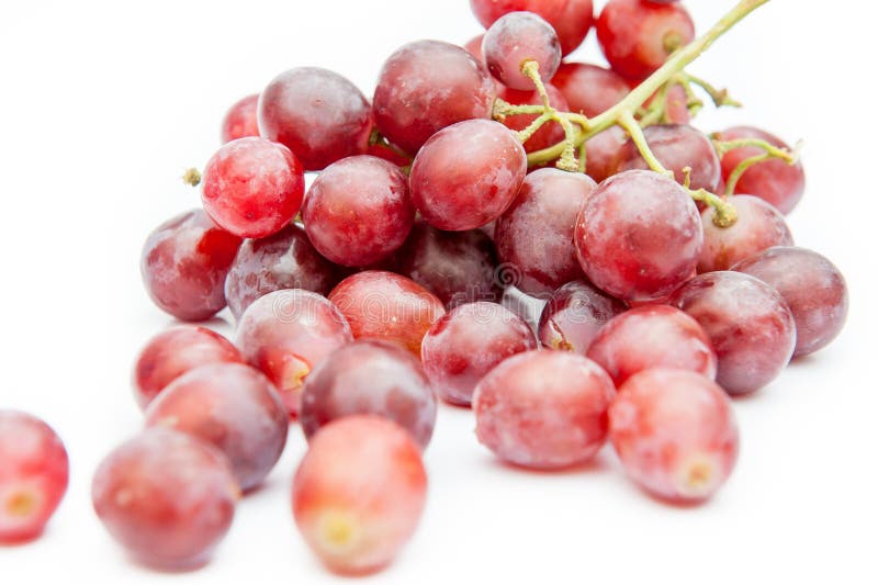 Rode druif stock foto. Image of sluit, voeding, roze - 103912430