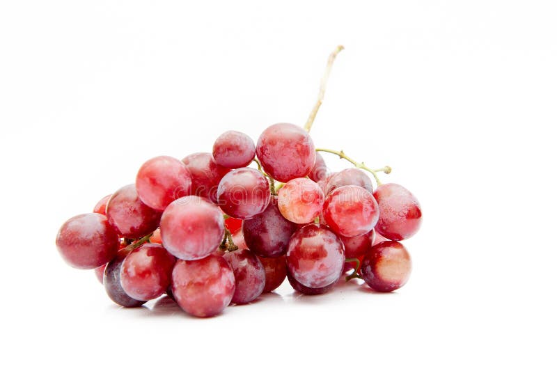 Rode druif stock foto. Image of purper, nagerecht, oogst - 103912462