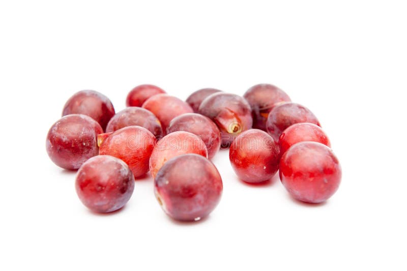 Rode druif stock foto. Image of maaltijd, oogst, nagerecht - 103912624