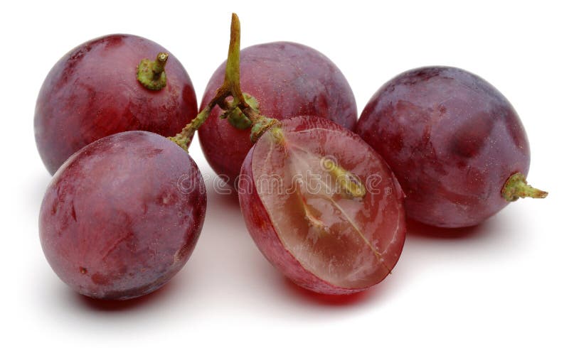 Rode druif stock afbeelding. Image of niemand, voeding - 61556727