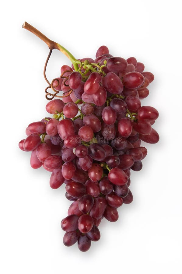 Rode Druiven stock foto. Image of druif, vrucht, organisch - 16781856