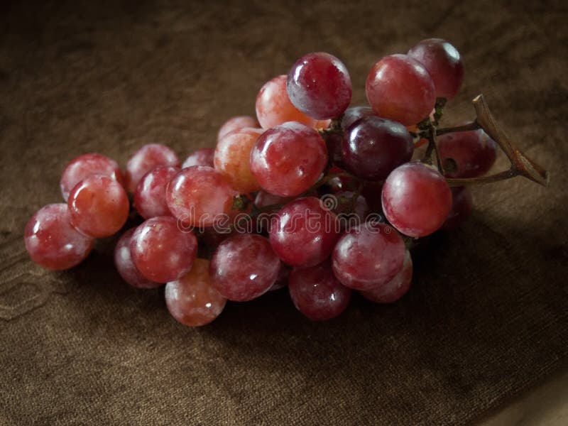 Rode Druiven Op Bruine Doek Stock Afbeelding - Image of bruin, rood ...