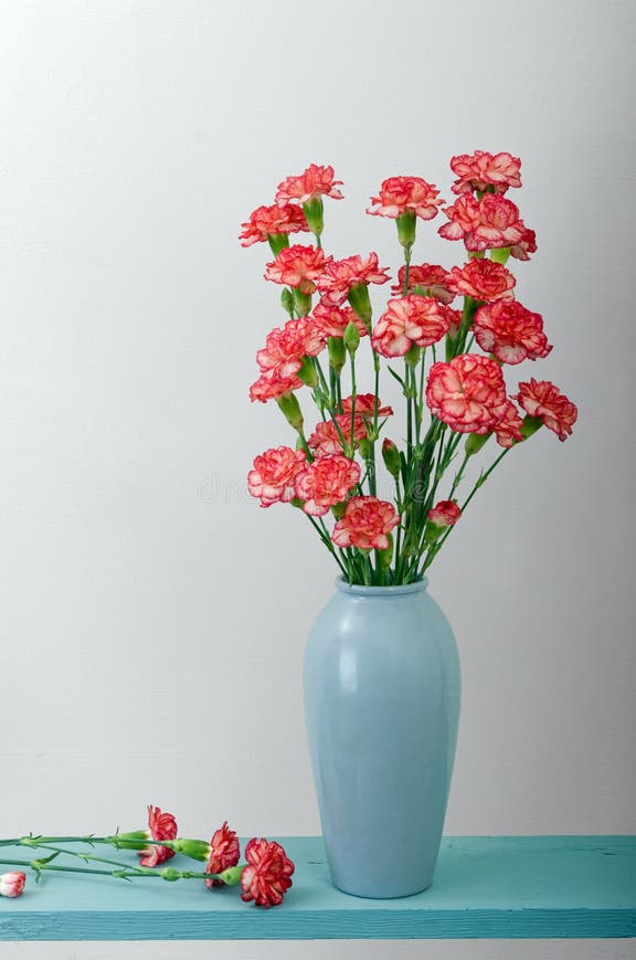 Rode en roze anjers stock afbeelding. Image of viering - 86133013