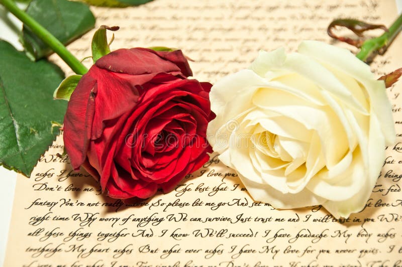 Rode en witte rozen stock afbeelding. Image of vrouwelijkheid - 12838781