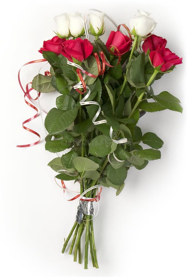 Een Dozijn Rode Rozen Op Een Rode Achtergrond Stock Afbeelding - Image ...