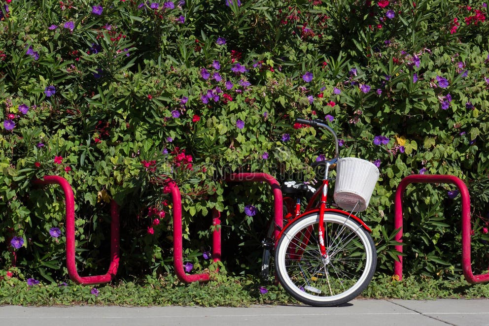 Rode fiets met witte mand stock foto. Image of metaal - 33577814