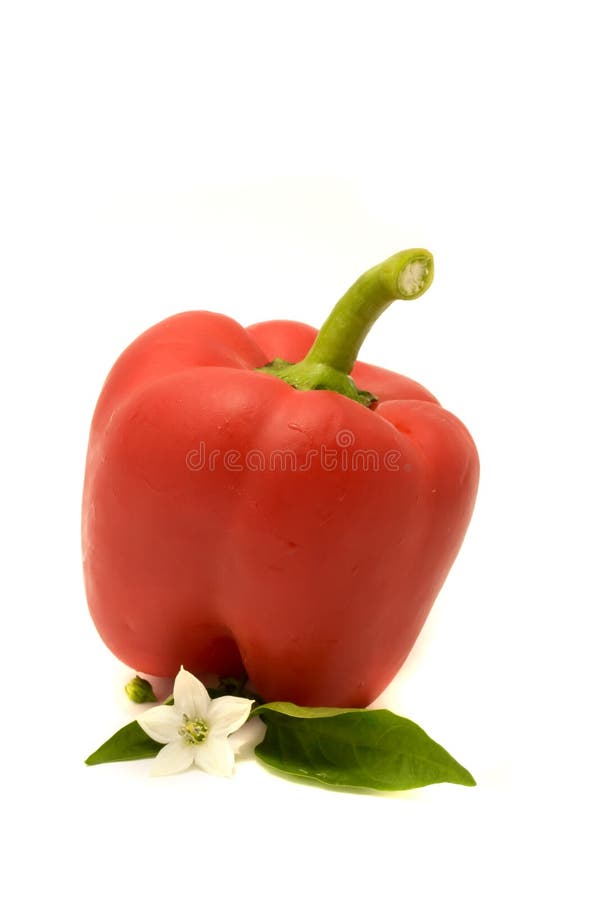 Rode Groene Paprika Met Bladeren En Bloem Stock Afbeelding - Image of ...