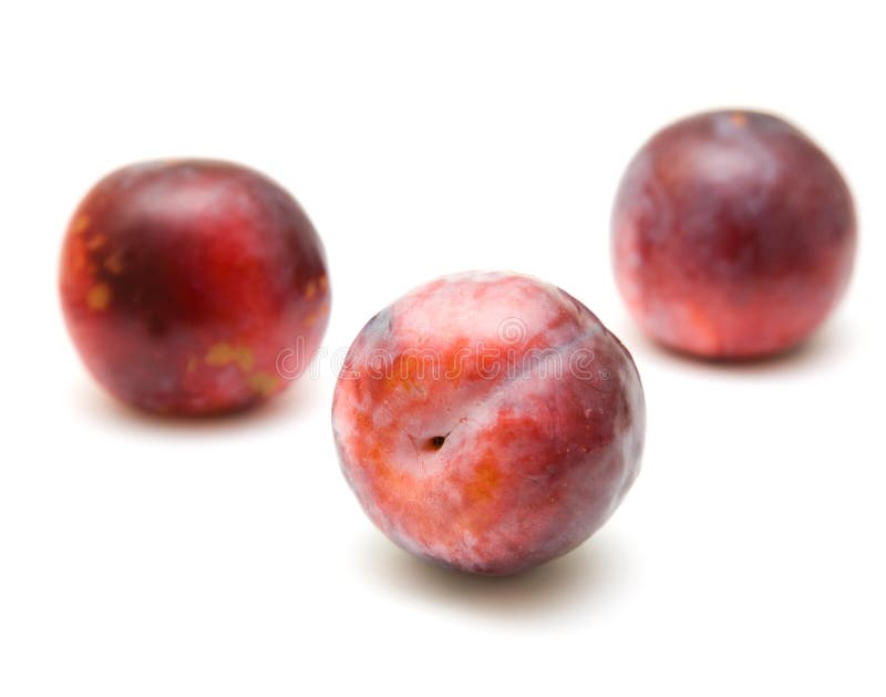Grote rode pruim stock afbeelding. Image of gewas, mollig - 24428901