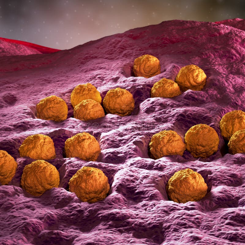 Rode hond - Rodehond stock afbeelding. Image of zorg - 43059703