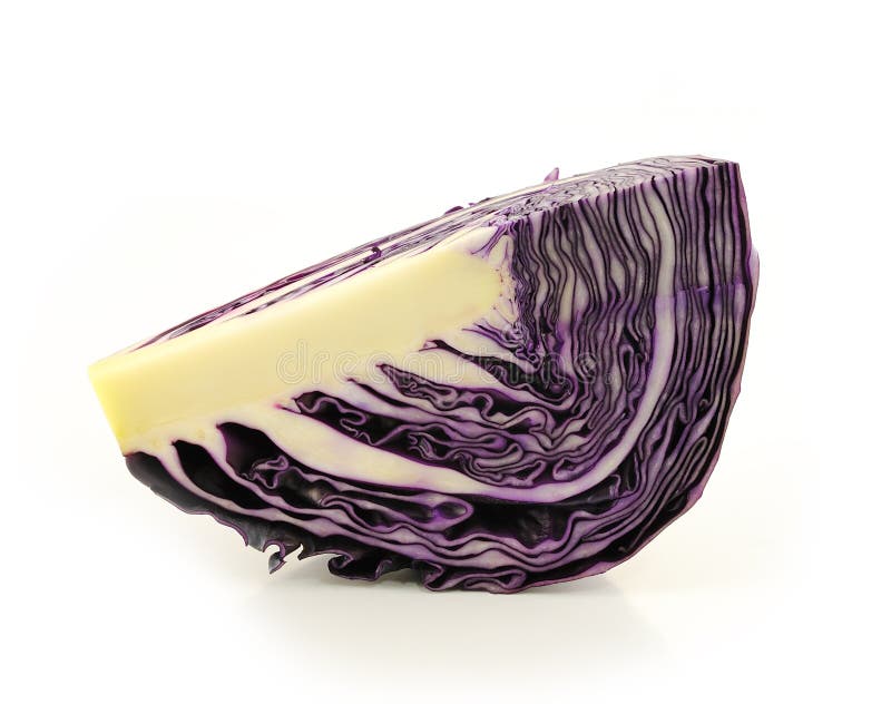 Gesneden Rode Kool stock foto. Image of kruis, purper - 3241224