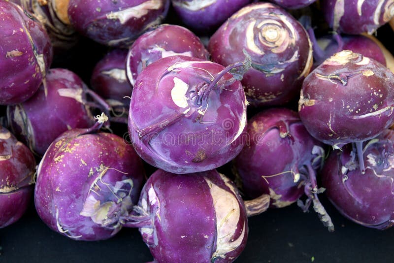 Rode Koolrabi, Rode Knolselderij, Rode Duitse Knol Stock Foto - Image ...