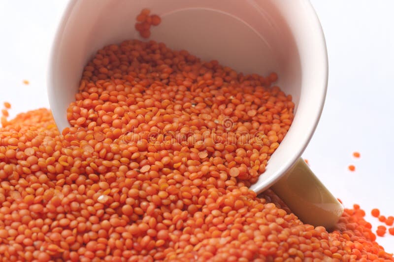 Rode linzen stock afbeelding. Image of bruin, naughty - 18734683