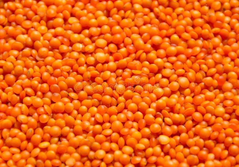 Linzen stock afbeelding. Image of peulvrucht, voedsel - 50107077