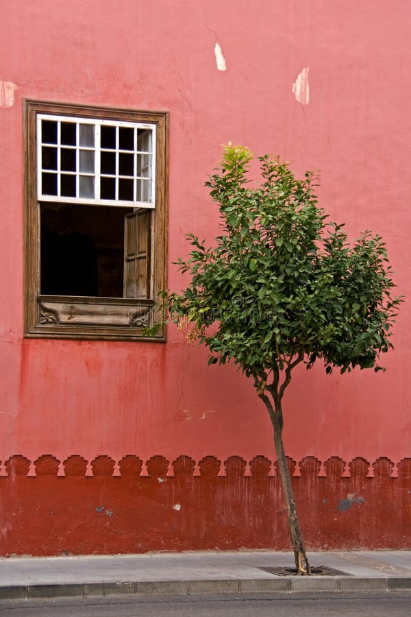 Rode muur en boom stock afbeelding. Image of open, bestrating - 4173485