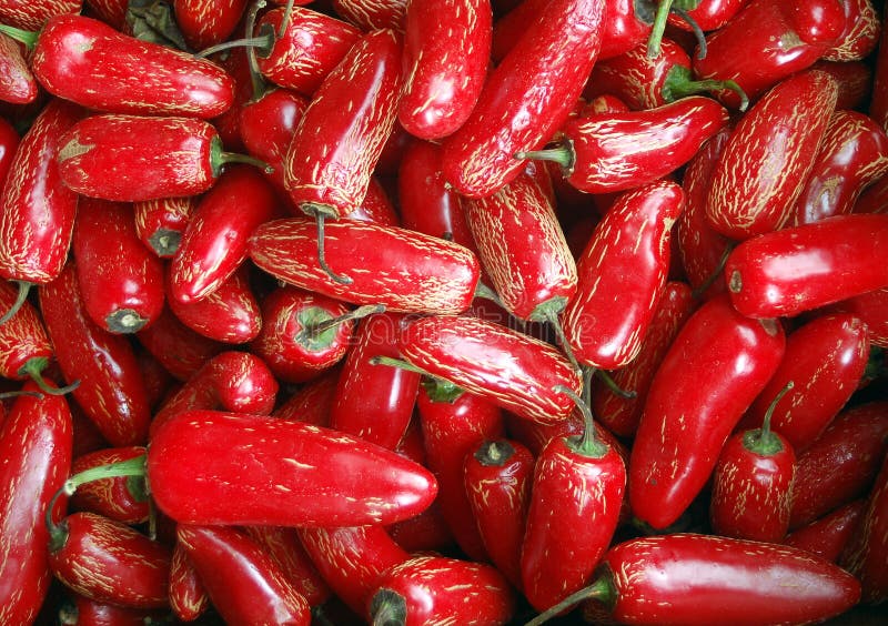 Kruidige Hete Rode Gesneden Jalapenopeper (Spaanse Peper) Stock ...