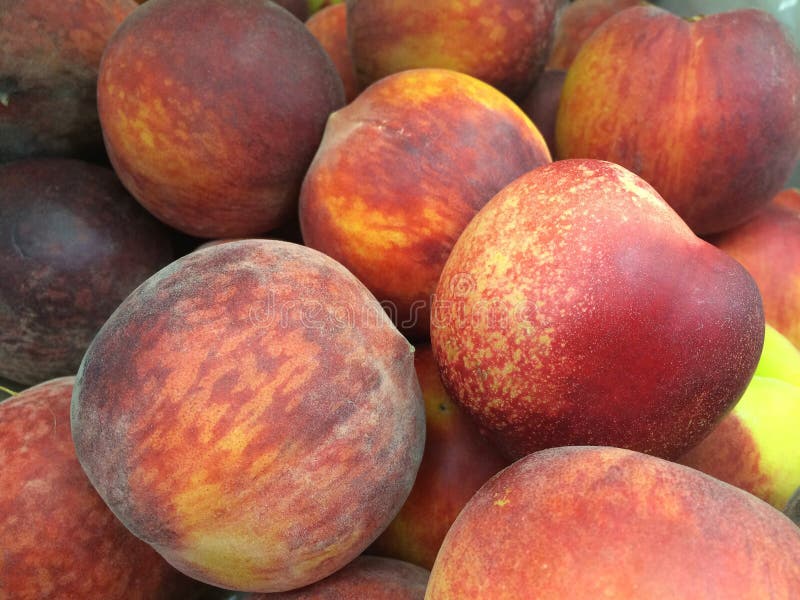 Rode perzik stock afbeelding. Image of perzik, plantaardig - 63807761