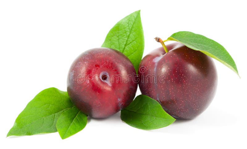 Rode pruimen met bladeren stock foto. Afbeelding bestaande uit single ...