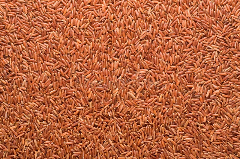 Zak rijst stock foto. Image of lunch, gewas, korrel, ingrediënt - 29959024